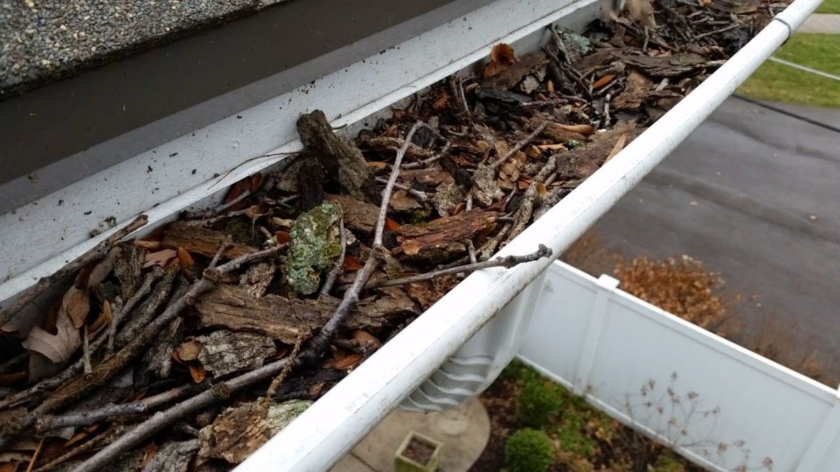 7 Common Gutter Problems Every Homeowner Should be Aware of